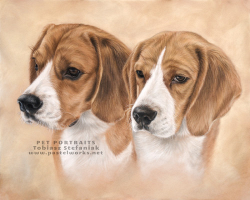 Dog Art - Page 4 Of 10 - Pastelworks.net